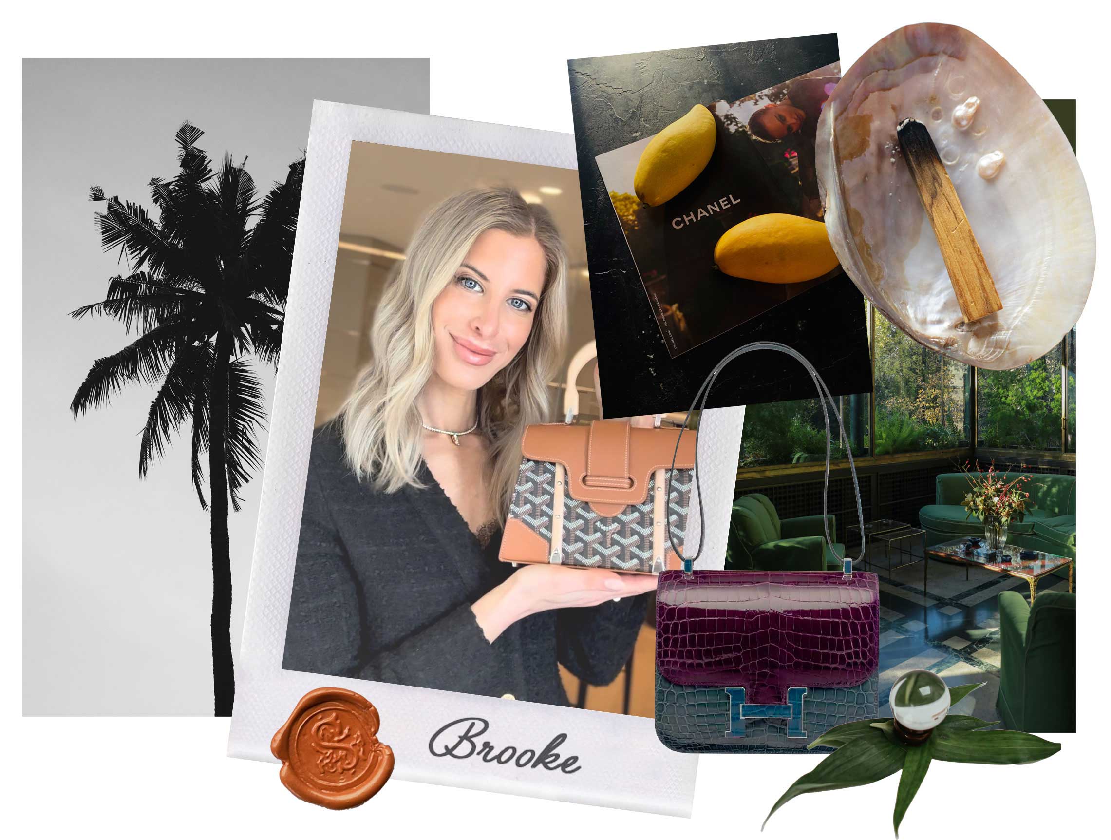 Interview With Our Founder – Handbag Social Club